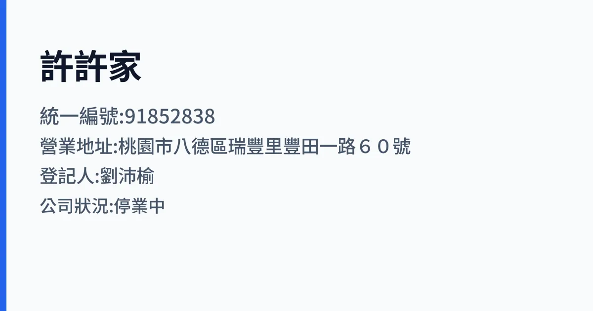 許許家 - 統編 91852838(桃園市) 公司登記資料與營業項目詳細圖表
