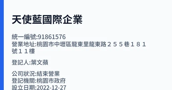 天使藍國際企業的照片-統編 91861576(桃園市) 公司登記資料與營業項目詳細圖表