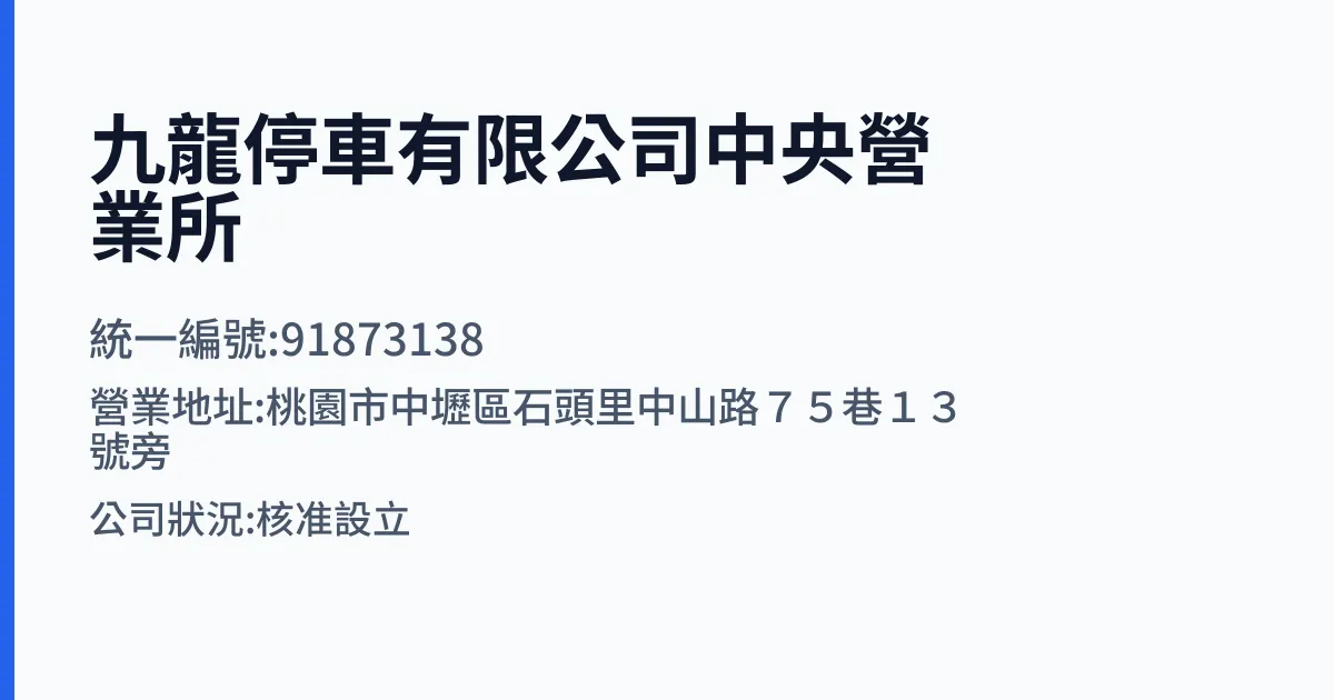 九龍停車有限公司中央營業所 - 統編 91873138(桃園市) 公司登記資料與營業項目詳細圖表