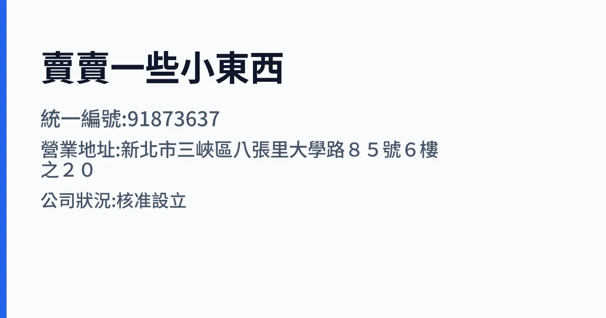 賣賣一些小東西 - 統編 91873637(新北市) 公司登記資料與營業項目詳細圖表