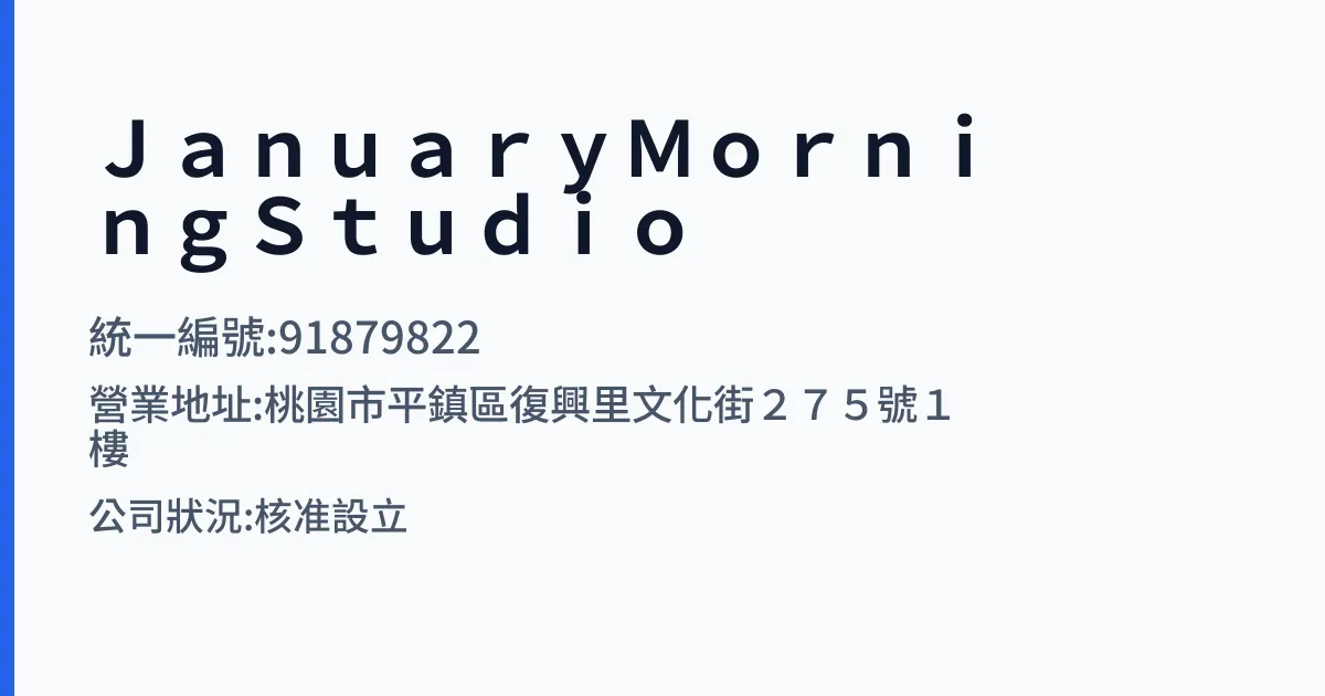 JanuaryMorningStudio - 統編 91879822(桃園市) 公司登記資料與營業項目詳細圖表