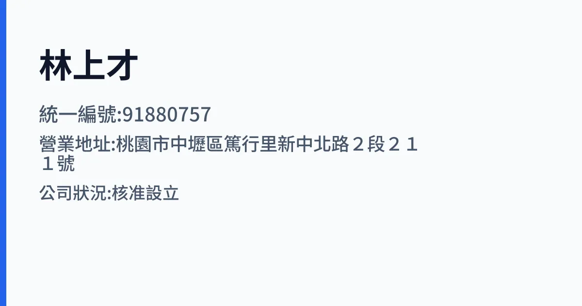 林上才 - 統編 91880757(桃園市) 公司登記資料與營業項目詳細圖表