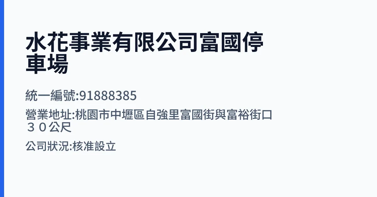 水花事業有限公司富國停車場 - 統編 91888385(桃園市) 公司登記資料與營業項目詳細圖表