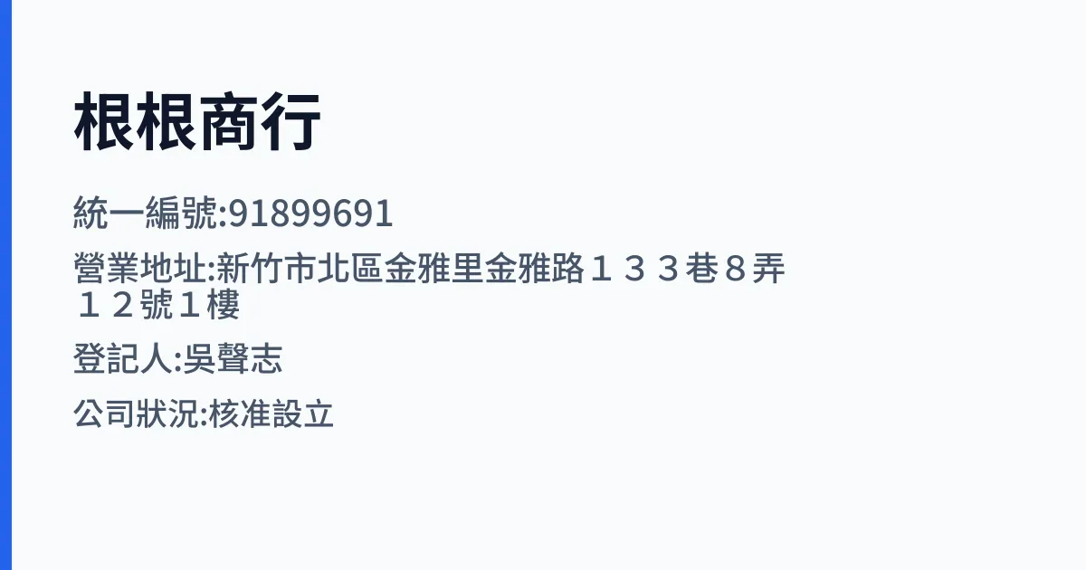 根根商行 - 統編 91899691(新竹市) 公司登記資料與營業項目詳細圖表