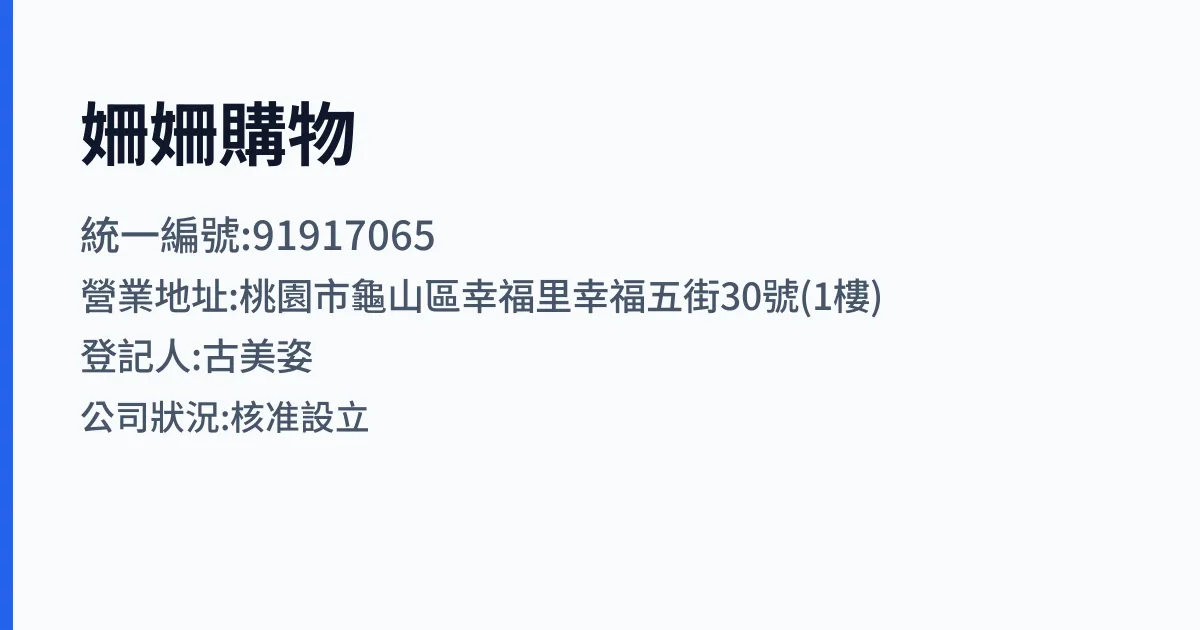 姍姍購物 - 統編 91917065(桃園市) 公司登記資料與營業項目詳細圖表