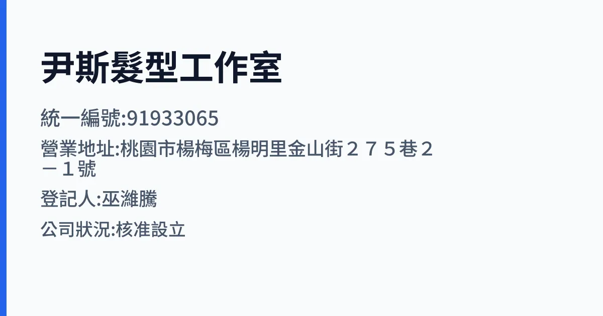 尹斯髮型工作室 - 統編 91933065(桃園市) 公司登記資料與營業項目詳細圖表