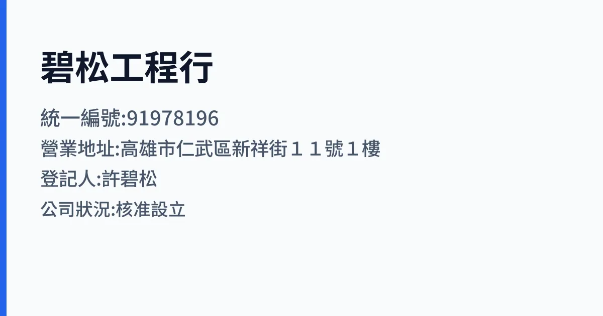 碧松工程行 - 統編 91978196(高雄市) 公司登記資料與營業項目詳細圖表