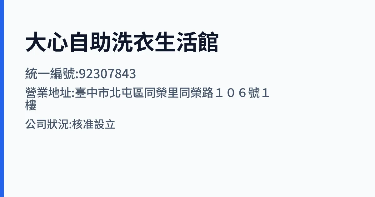 大心自助洗衣生活館 - 統編 92307843(臺中市) 公司登記資料與營業項目詳細圖表