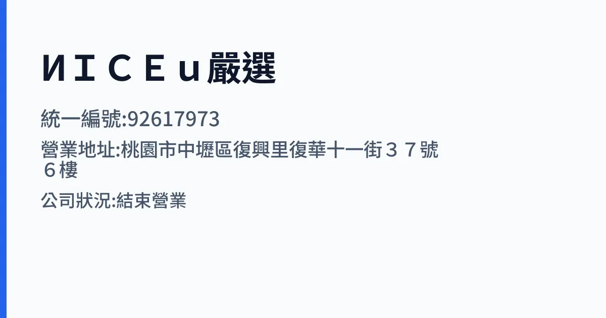 ИICEu嚴選 - 統編 92617973(桃園市) 公司登記資料與營業項目詳細圖表