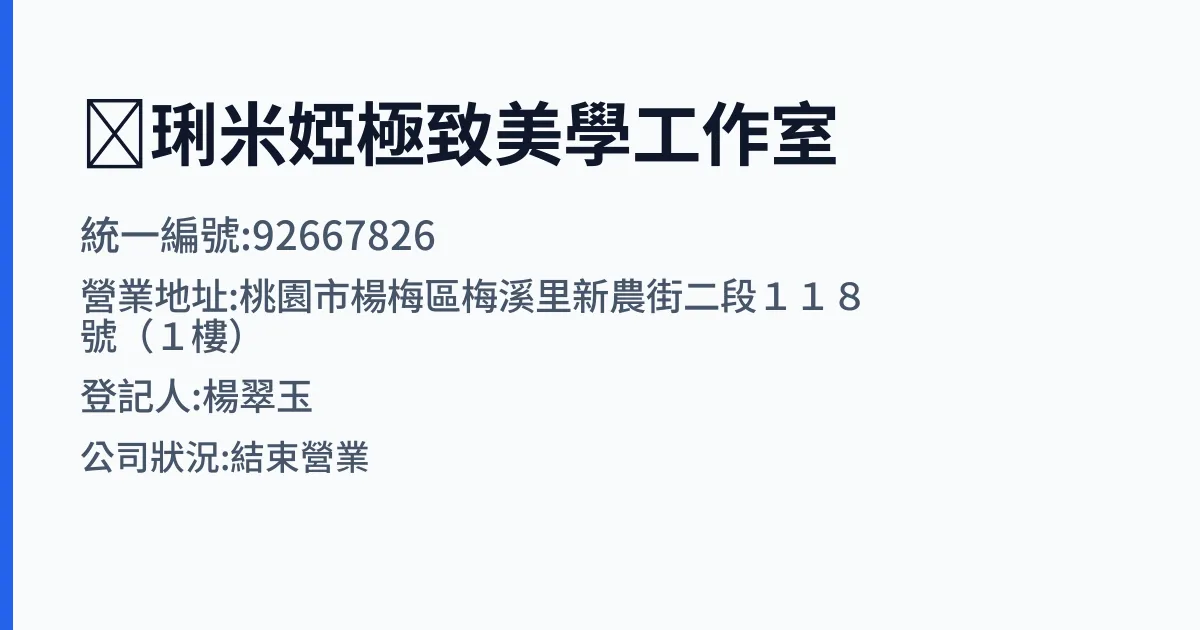 㛊琍米婭極致美學工作室 - 統編 92667826(桃園市) 公司登記資料與營業項目詳細圖表