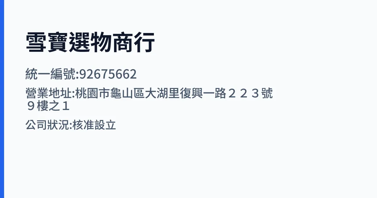 雪寶選物商行 - 統編 92675662(桃園市) 公司登記資料與營業項目詳細圖表