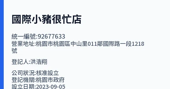 國際小豬很忙店的照片-統編 92677633(桃園市) 公司登記資料與營業項目詳細圖表