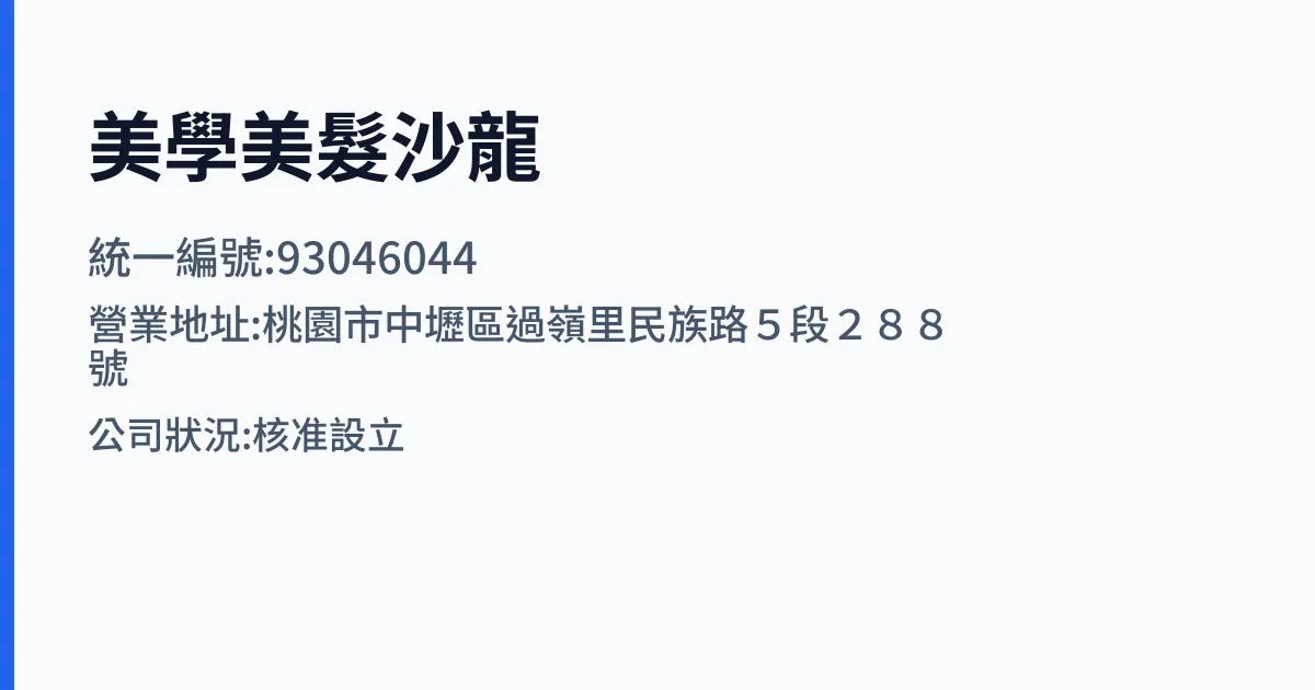 美學美髮沙龍 - 統編 93046044(桃園市) 公司登記資料與營業項目詳細圖表