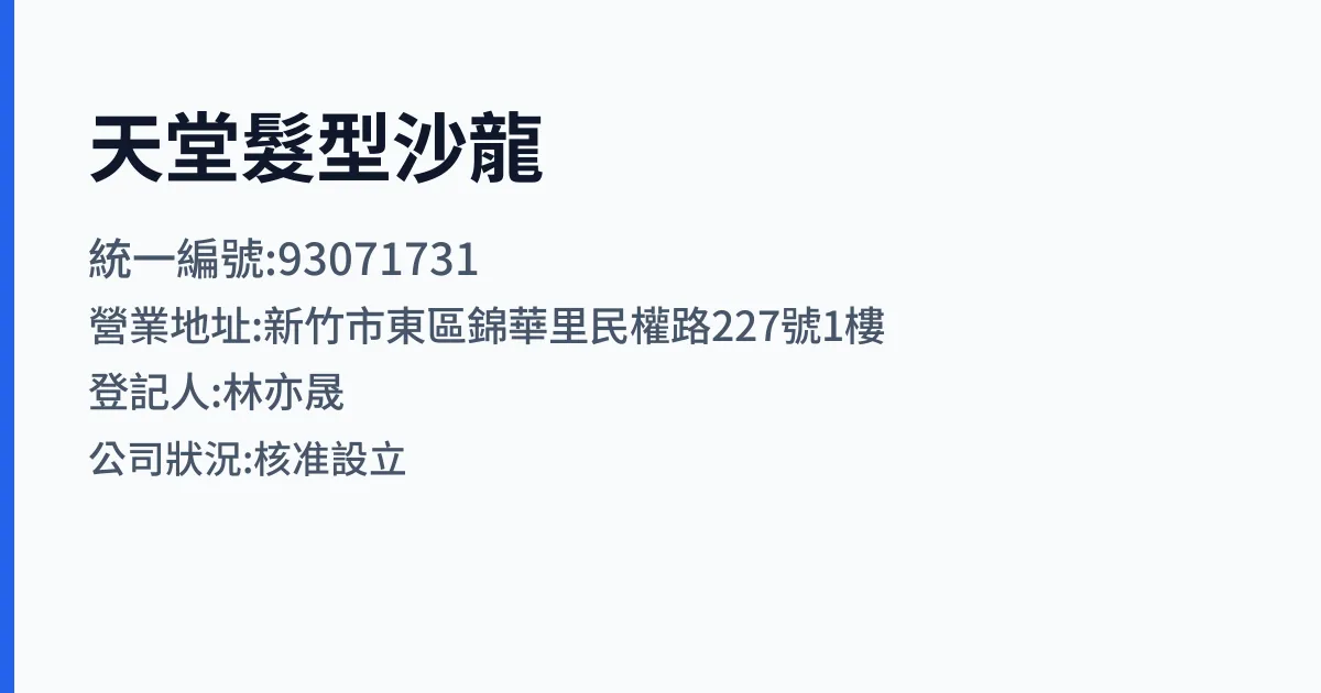 天堂髮型沙龍 - 統編 93071731(新竹市) 公司登記資料與營業項目詳細圖表
