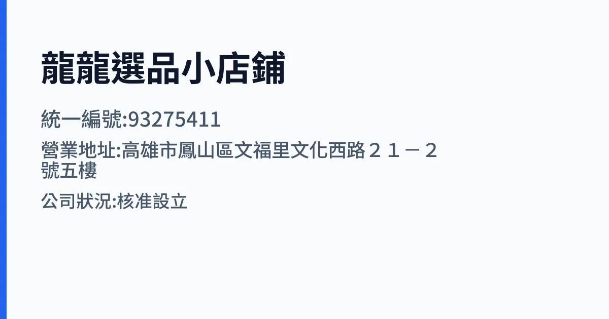 龍龍選品小店鋪 - 統編 93275411(高雄市) 公司登記資料與營業項目詳細圖表