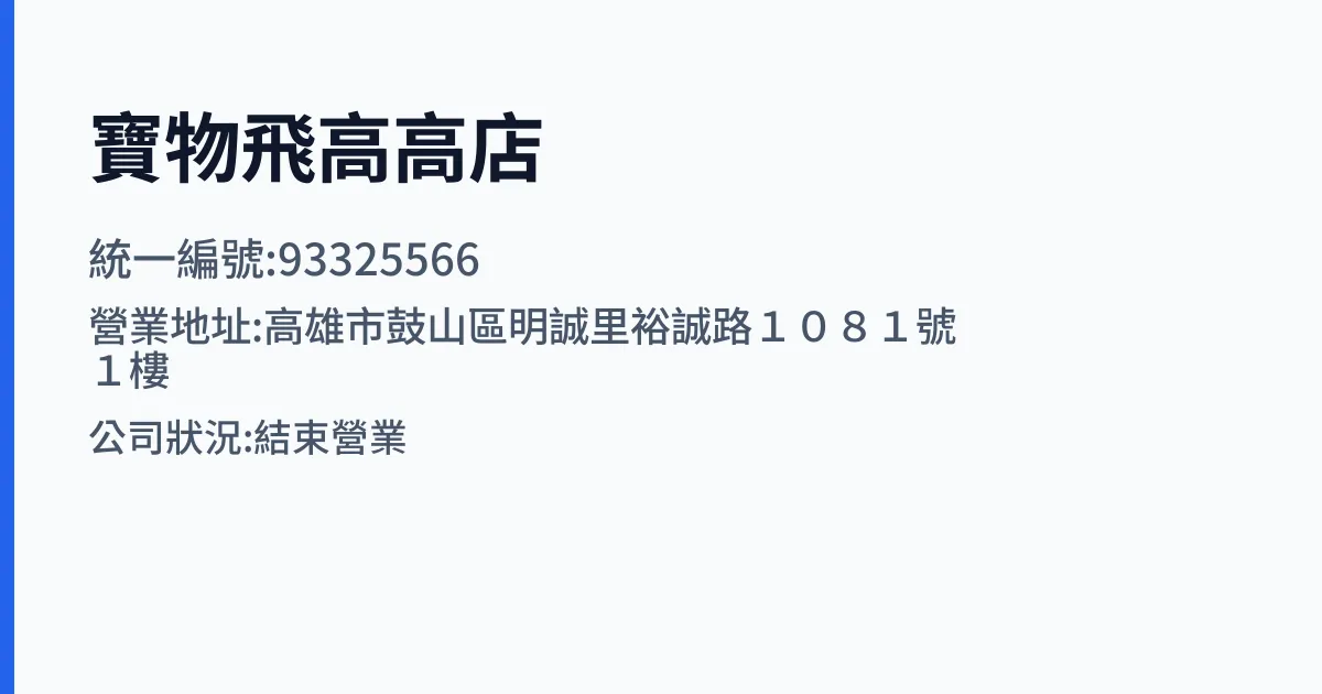 寶物飛高高店 - 統編 93325566(高雄市) 公司登記資料與營業項目詳細圖表