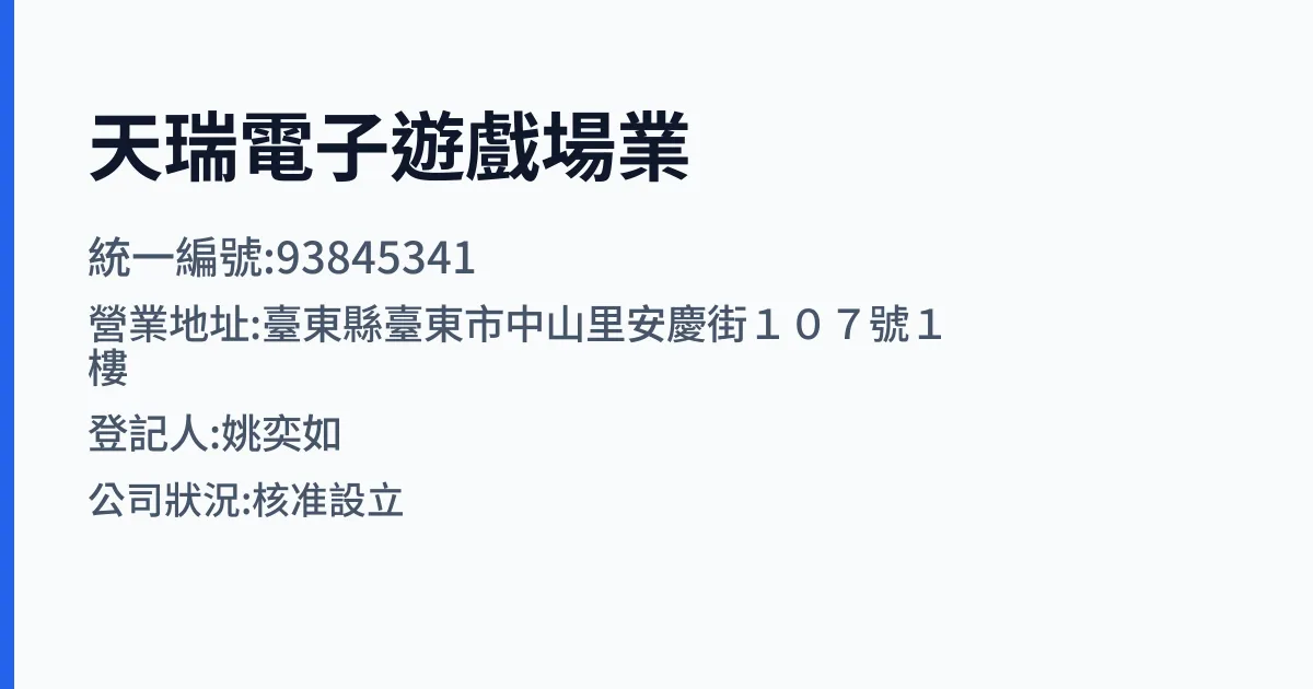 天瑞電子遊戲場業 - 統編 93845341(臺東縣) 公司登記資料與營業項目詳細圖表