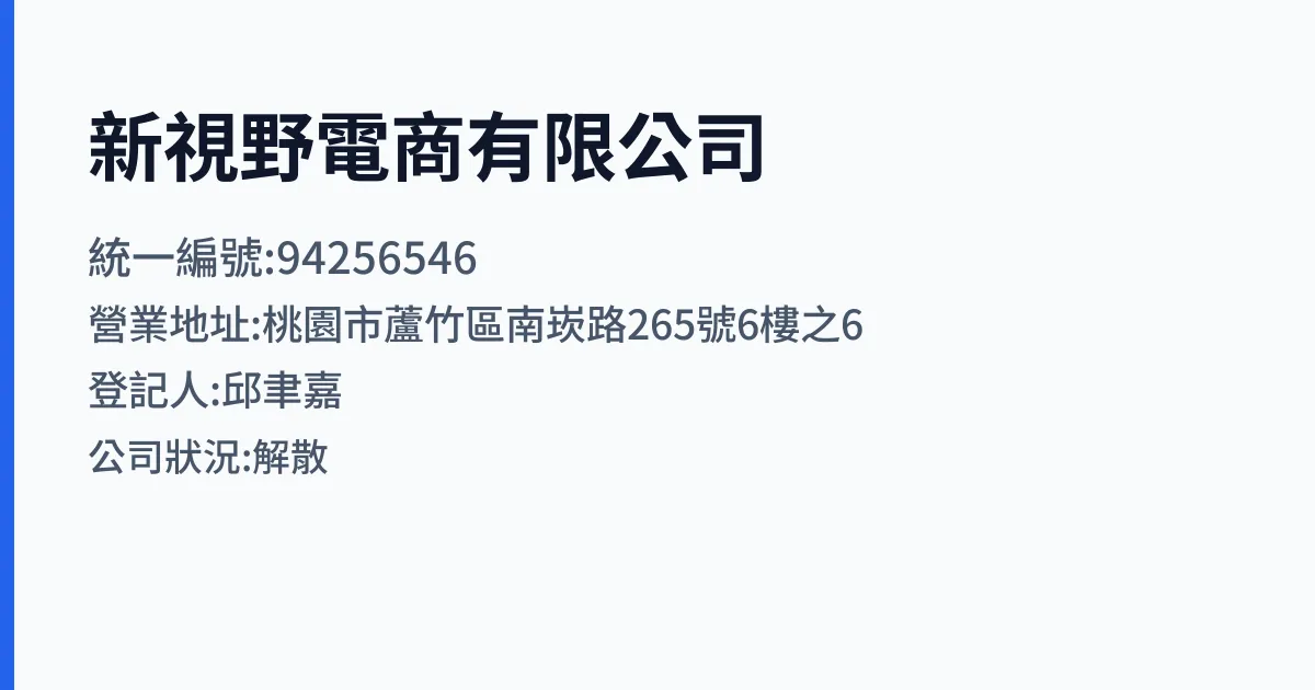 新視野電商有限公司 - 統編 94256546(桃園市) 公司登記資料與營業項目詳細圖表