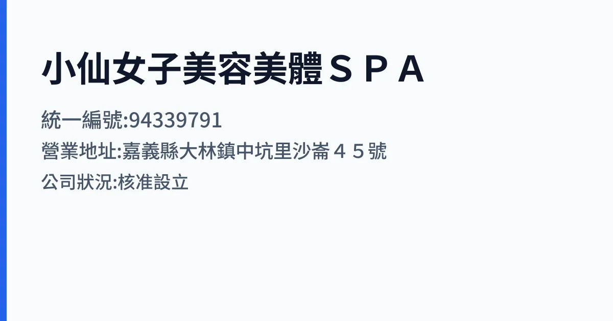 小仙女子美容美體SPA - 統編 94339791(嘉義縣) 公司登記資料與營業項目詳細圖表