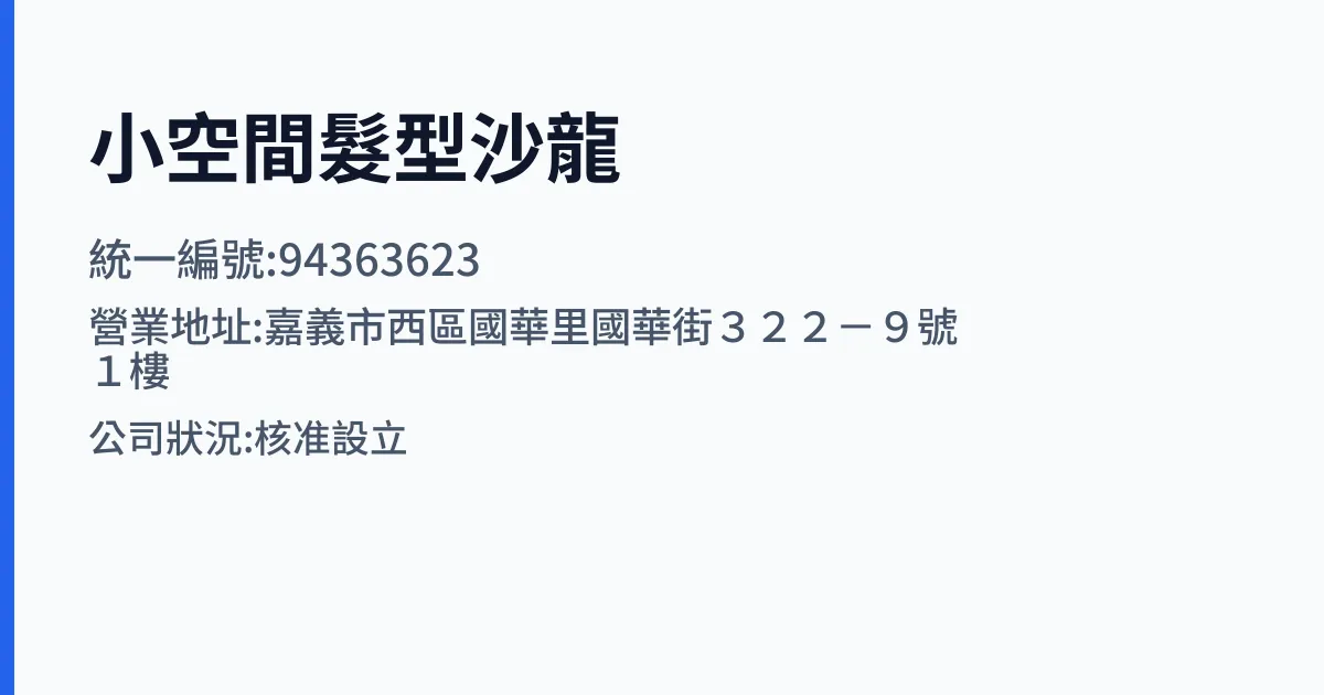 小空間髮型沙龍 - 統編 94363623(嘉義市) 公司登記資料與營業項目詳細圖表