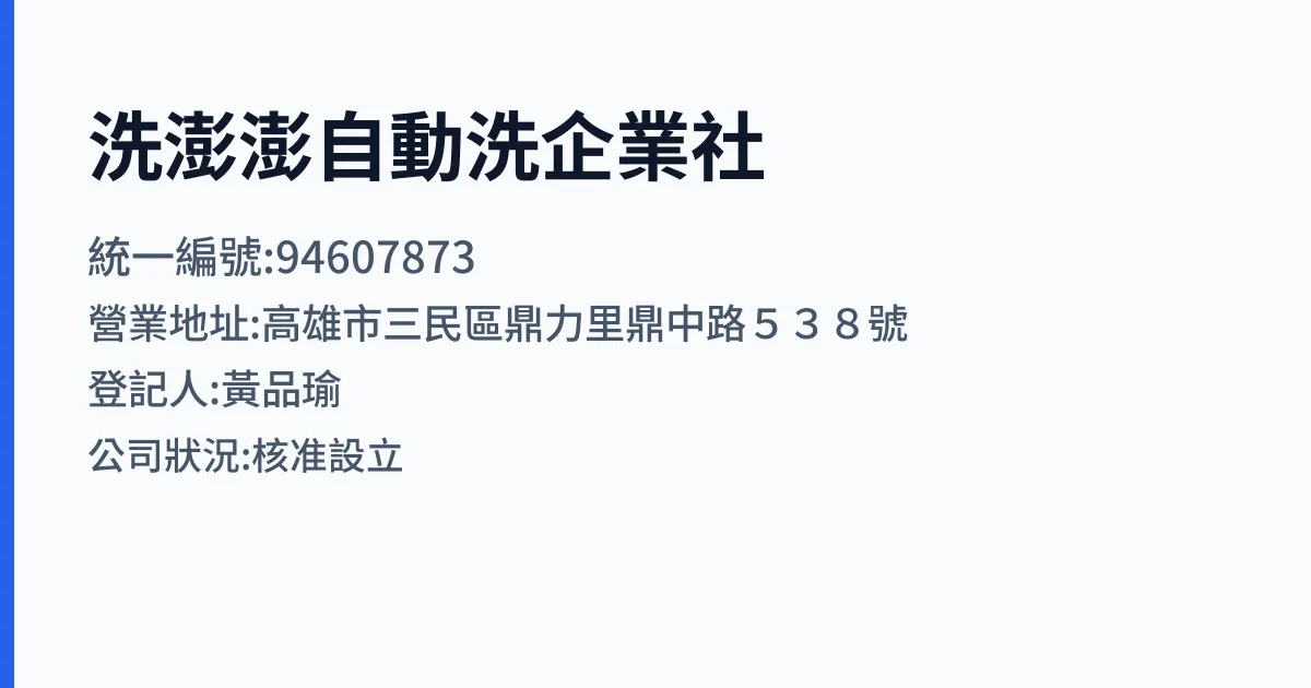 洗澎澎自動洗企業社 - 統編 94607873(高雄市) 公司登記資料與營業項目詳細圖表