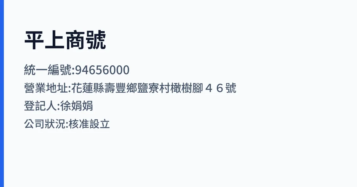 平上商號 - 統編 94656000(花蓮縣) 公司登記資料與營業項目詳細圖表