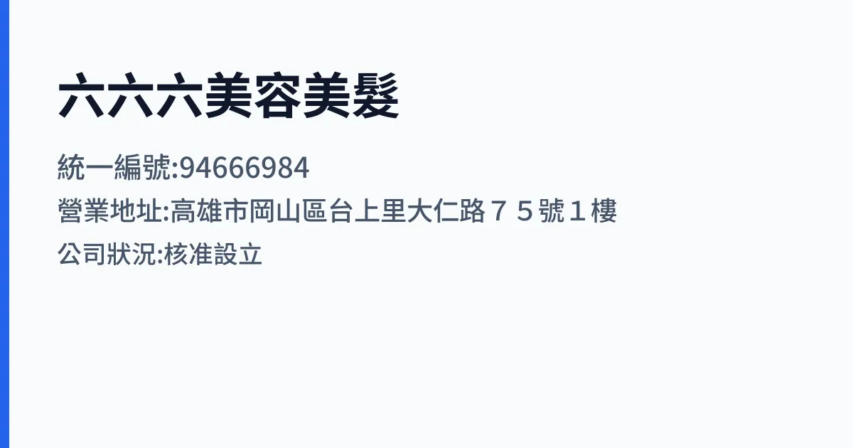 六六六美容美髮 - 統編 94666984(高雄市) 公司登記資料與營業項目詳細圖表