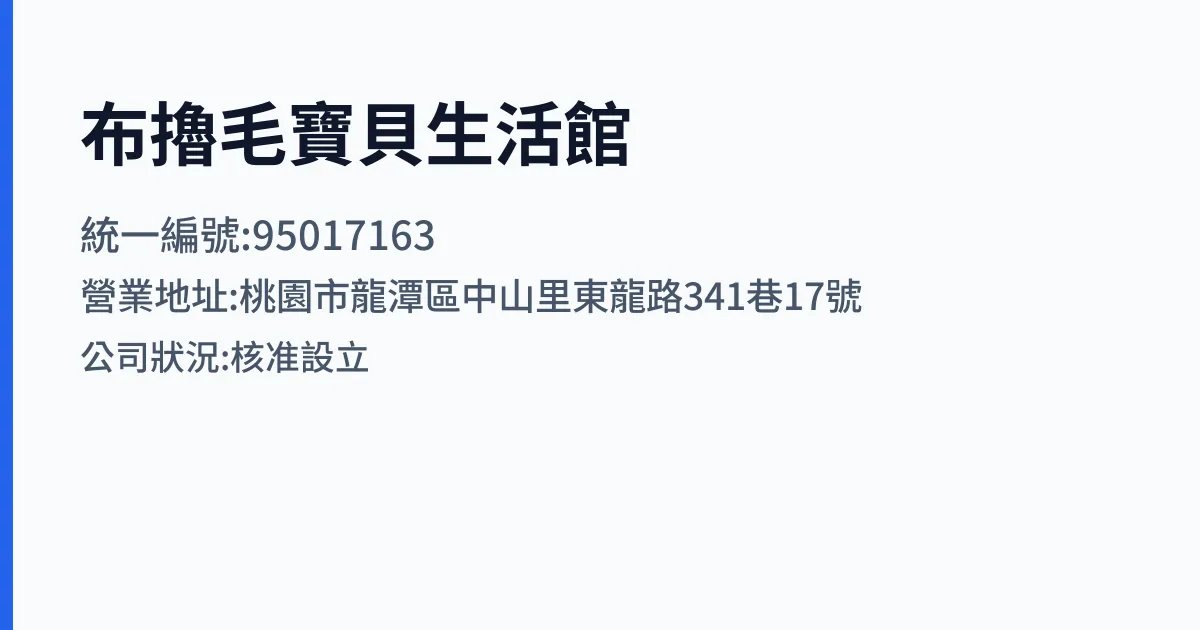 布擼毛寶貝生活館 - 統編 95017163（桃園市） 公司登記資料與營業項目詳細圖表