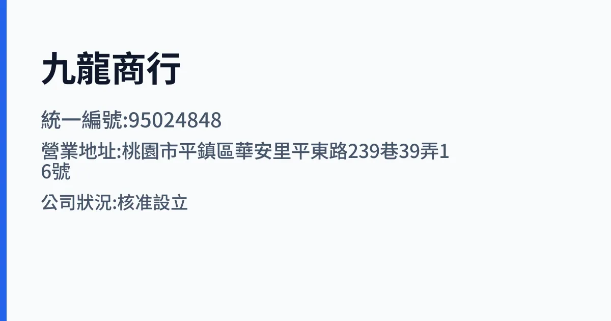 九龍商行 - 統編 95024848(桃園市) 公司登記資料與營業項目詳細圖表