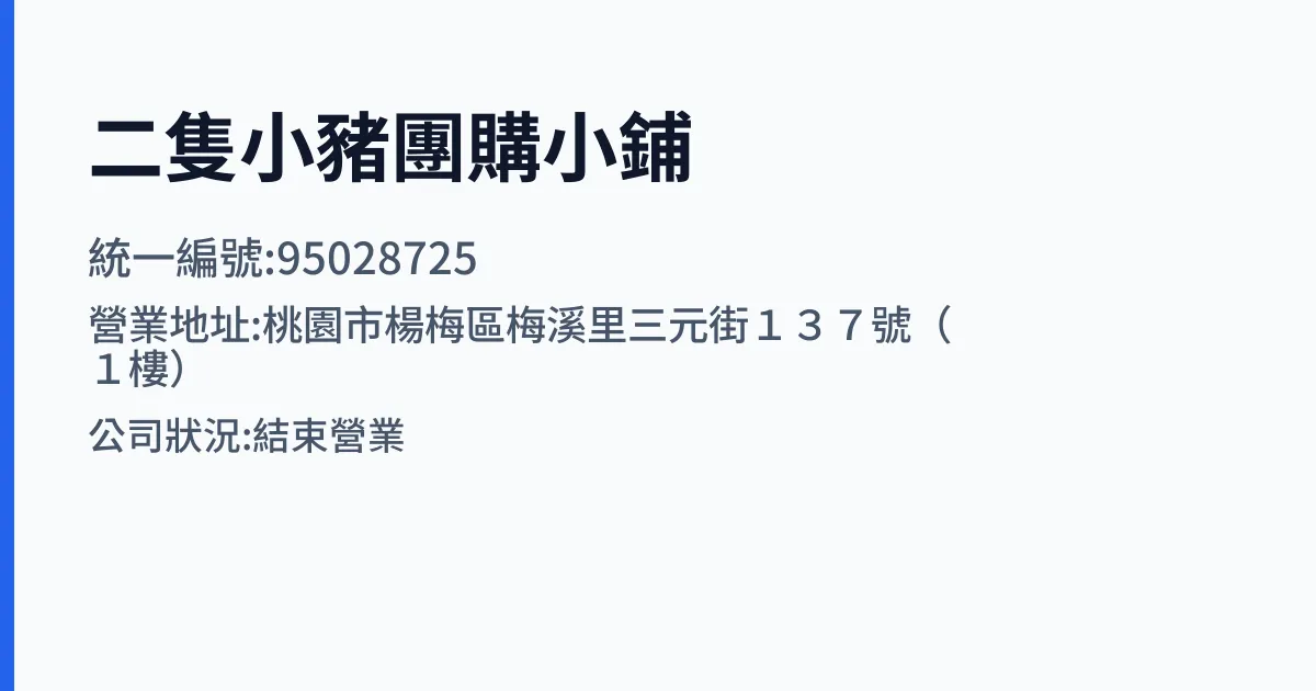 二隻小豬團購小鋪 - 統編 95028725（桃園市） 公司登記資料與營業項目詳細圖表
