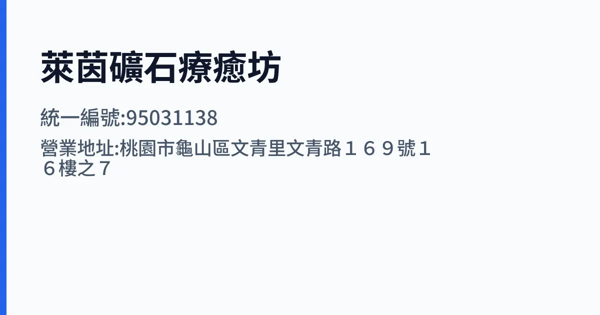 萊茵礦石療癒坊 - 統編 95031138(桃園市) 公司登記資料與營業項目詳細圖表