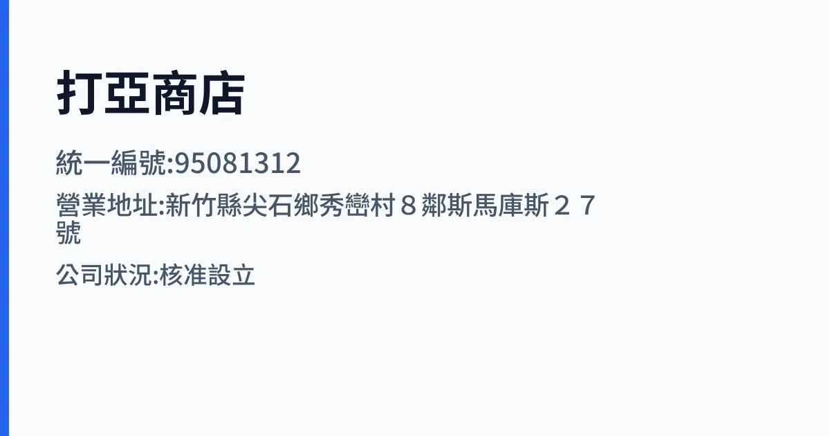 打亞商店 - 統編 95081312(新竹縣) 公司登記資料與營業項目詳細圖表