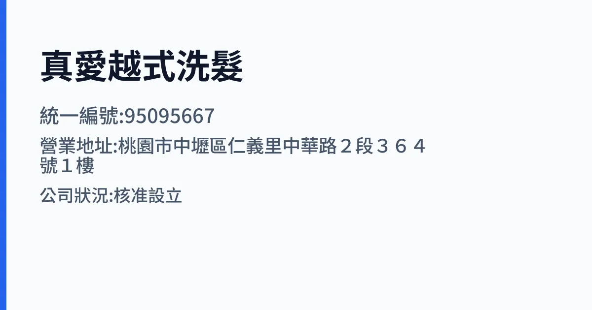 真愛越式洗髮 - 統編 95095667（桃園市） 公司登記資料與營業項目詳細圖表