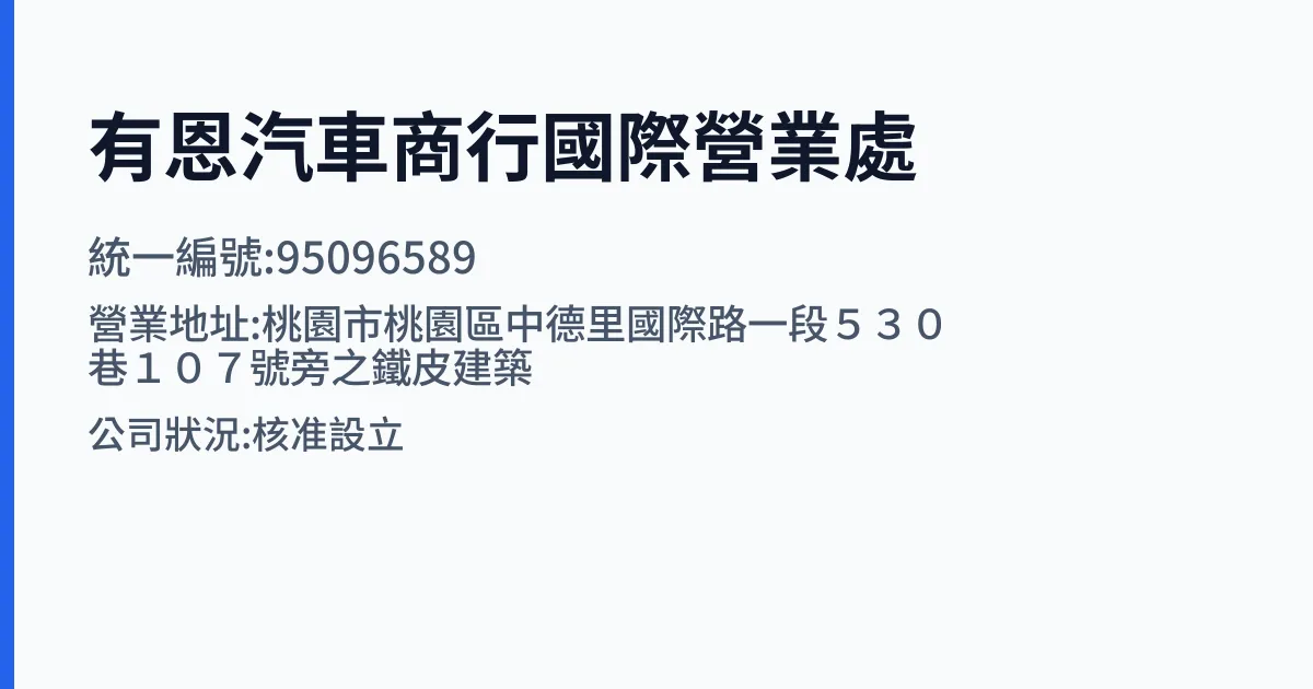 有恩汽車商行國際營業處 - 統編 95096589（桃園市） 公司登記資料與營業項目詳細圖表