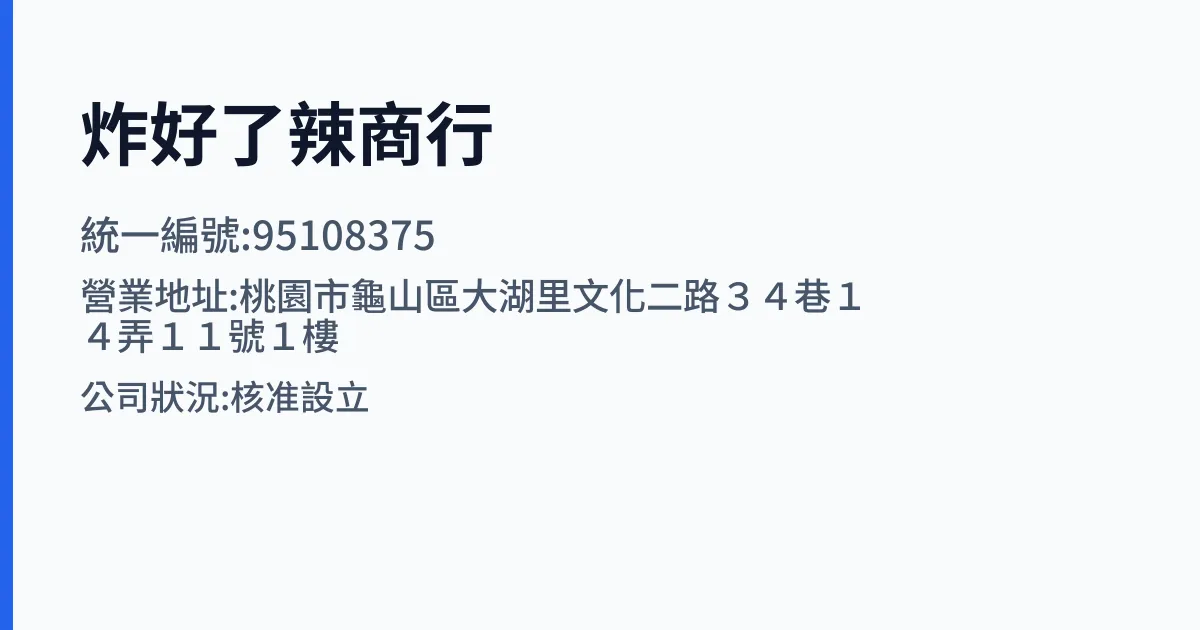 炸好了辣商行 - 統編 95108375(桃園市) 公司登記資料與營業項目詳細圖表