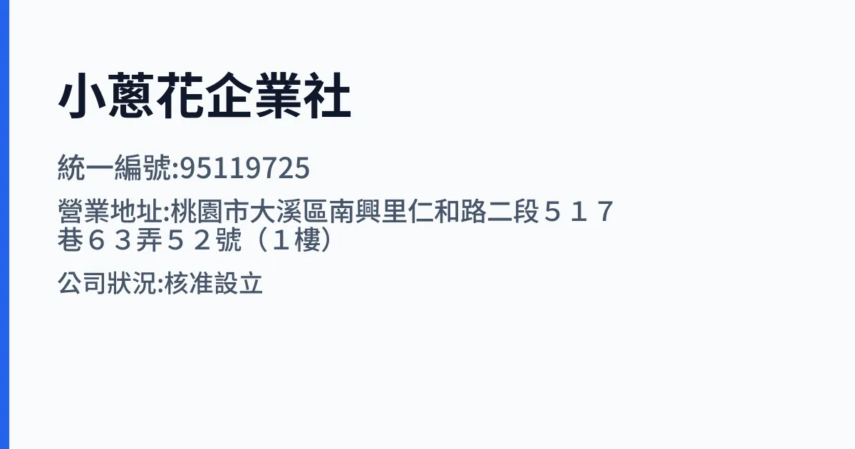 小蔥花企業社 - 統編 95119725(桃園市) 公司登記資料與營業項目詳細圖表