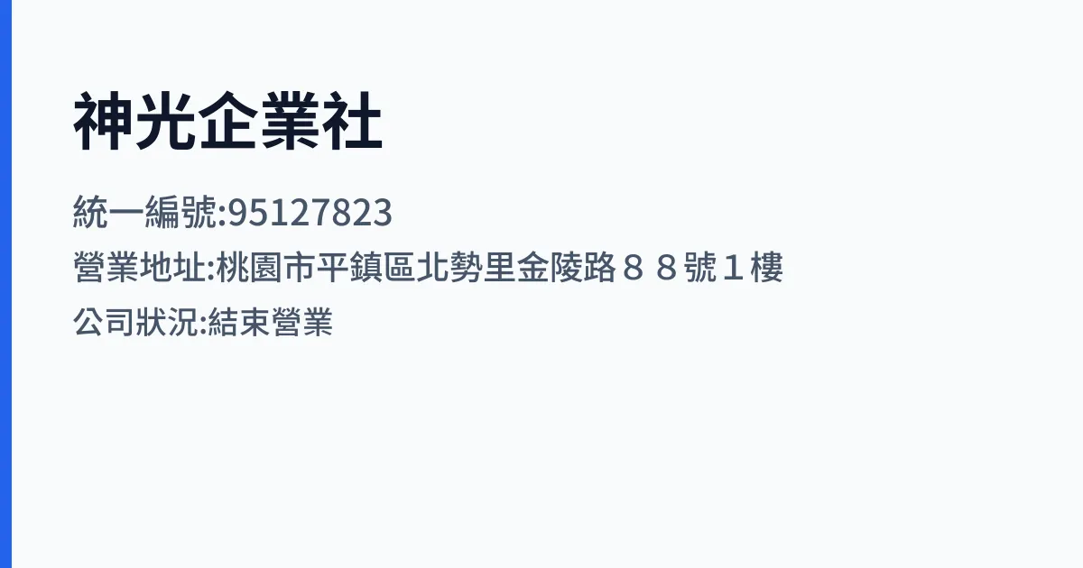 神光企業社 - 統編 95127823(桃園市) 公司登記資料與營業項目詳細圖表