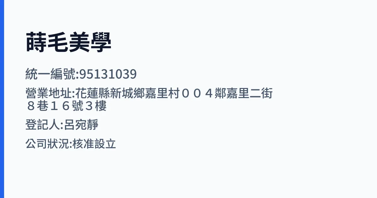 蒔毛美學 - 統編 95131039(花蓮縣) 公司登記資料與營業項目詳細圖表