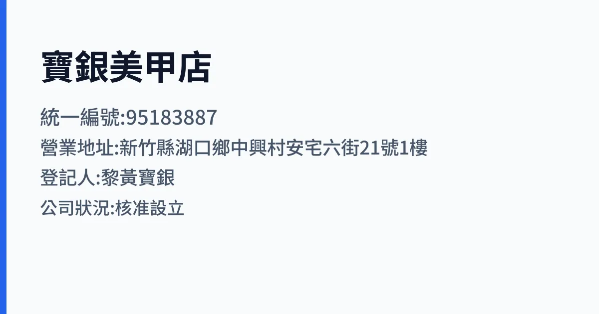 寶銀美甲店 - 統編 95183887(新竹縣) 公司登記資料與營業項目詳細圖表