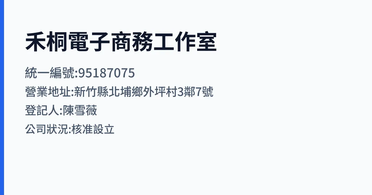 禾桐電子商務工作室 - 統編 95187075(新竹縣) 公司登記資料與營業項目詳細圖表