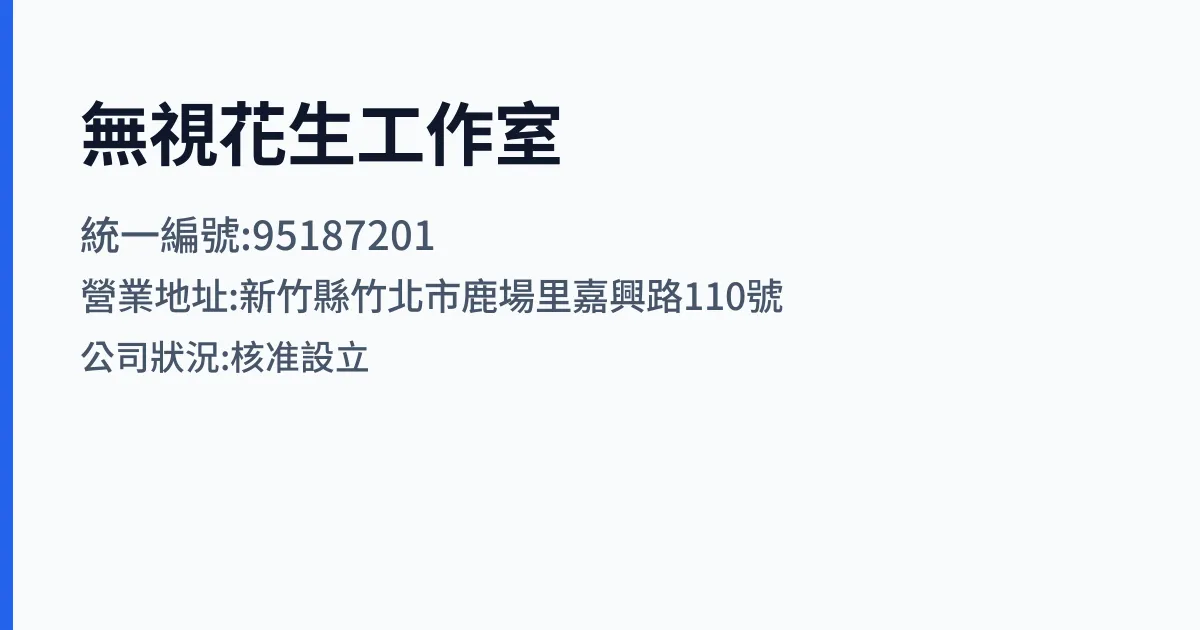 無視花生工作室 - 統編 95187201(新竹縣) 公司登記資料與營業項目詳細圖表