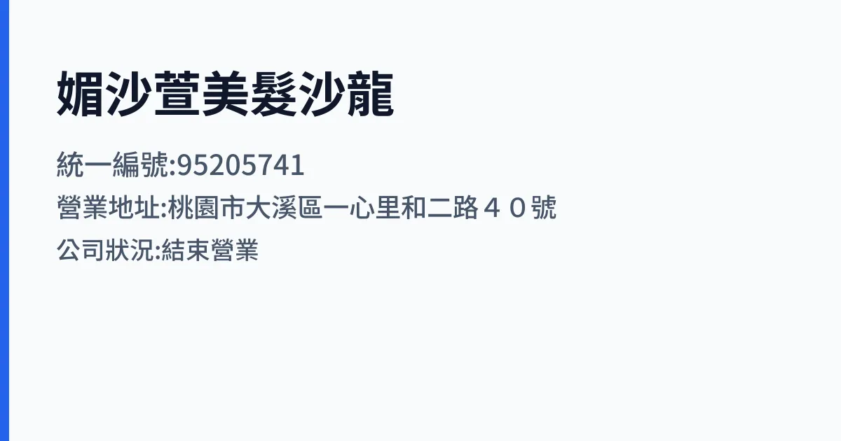 媚沙萱美髮沙龍 - 統編 95205741（桃園市） 公司登記資料與營業項目詳細圖表