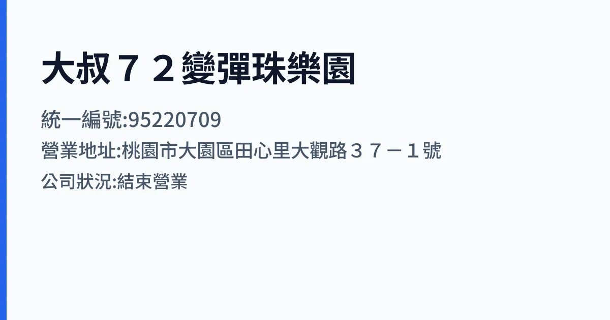 大叔72變彈珠樂園 - 統編 95220709(桃園市) 公司登記資料與營業項目詳細圖表