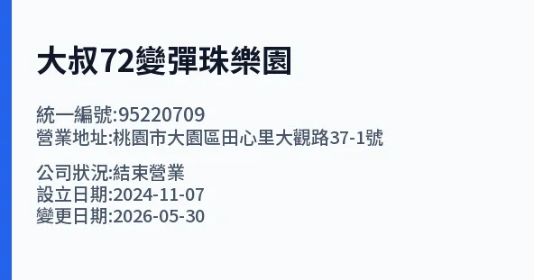 大叔72變彈珠樂園的照片-統編 95220709(桃園市) 公司登記資料與營業項目詳細圖表