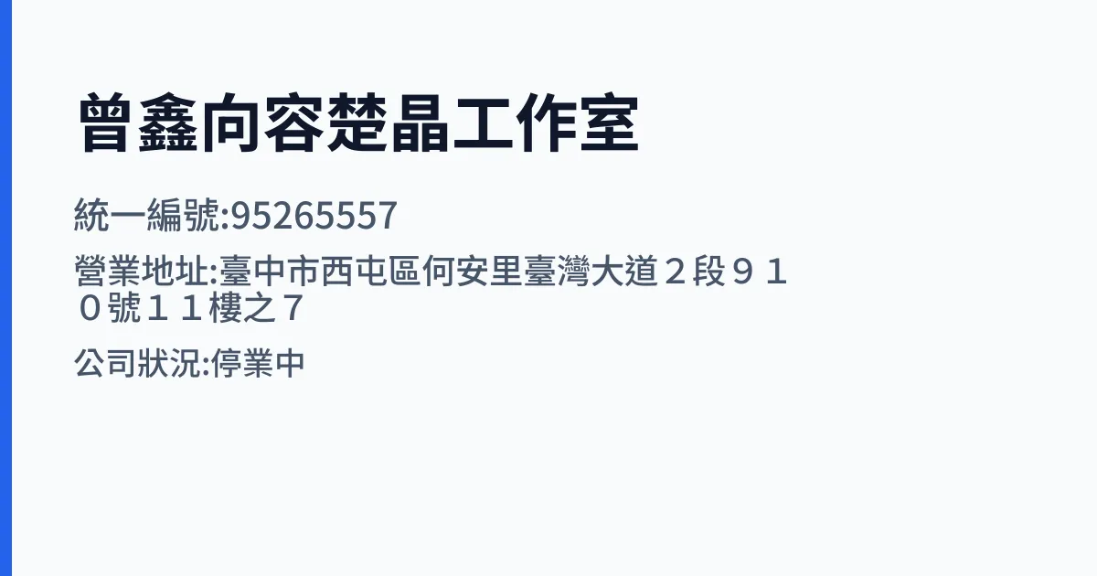曾鑫向容楚晶工作室 - 統編 95265557(臺中市) 公司登記資料與營業項目詳細圖表