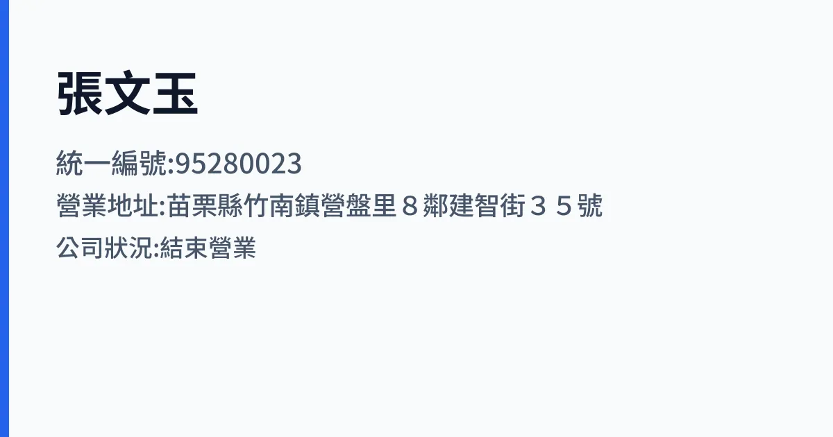 張文玉 - 統編 95280023(苗栗縣) 公司登記資料與營業項目詳細圖表