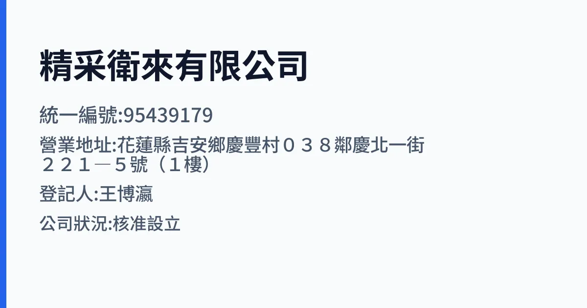 精采衛來有限公司 - 統編 95439179（花蓮縣） 公司登記資料與營業項目詳細圖表