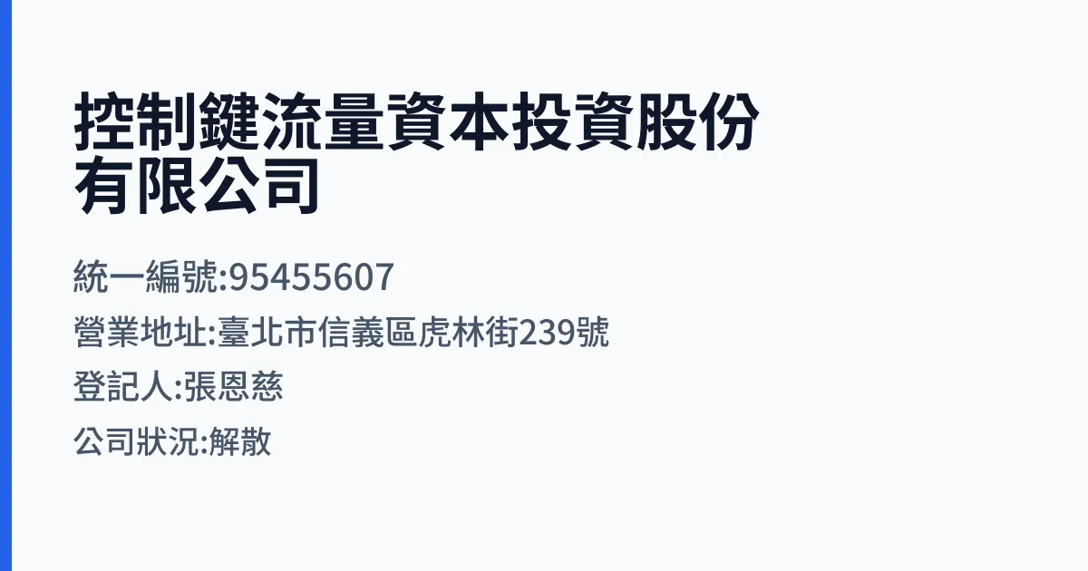 控制鍵流量資本投資股份有限公司 - 統編 95455607(臺北市) 公司登記資料與營業項目詳細圖表