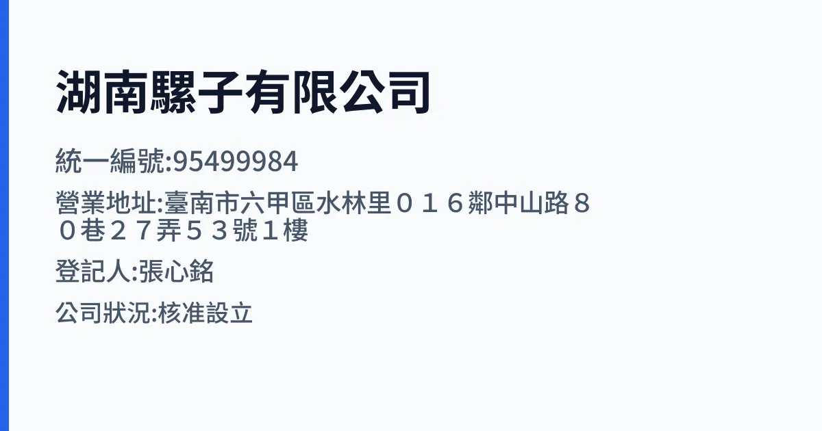 湖南騾子有限公司 - 統編 95499984(臺南市) 公司登記資料與營業項目詳細圖表