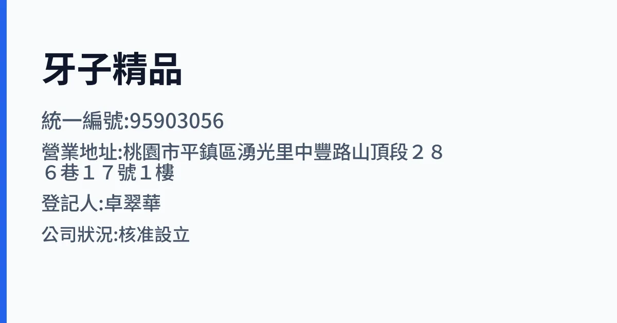 牙子精品 - 統編 95903056(桃園市) 公司登記資料與營業項目詳細圖表